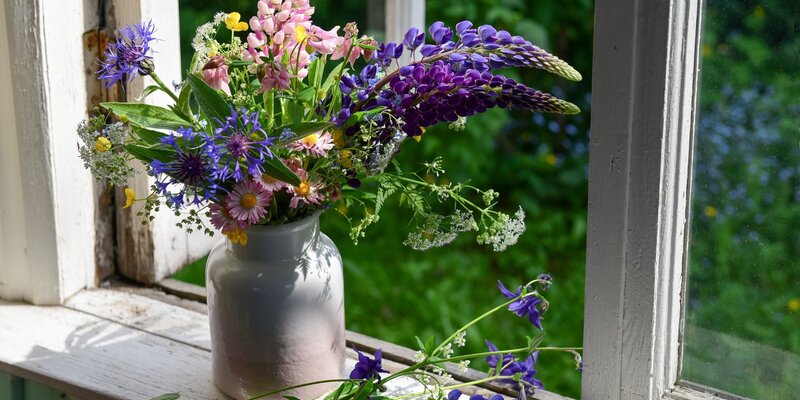 Schnittblumen aus dem eigenen Garten | Starkl Gartenblog - Tipps & Tricks rund um das Gärtnern ...